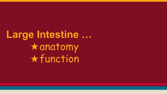 Anatomy of appendix | PPTX | Brain and Nervous System Disorders ...