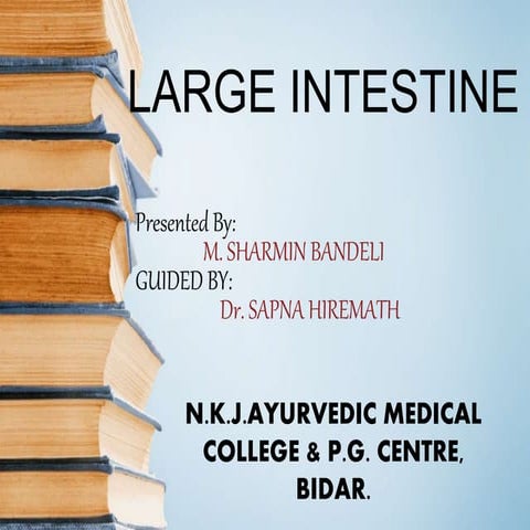 Large intestine | PPTX