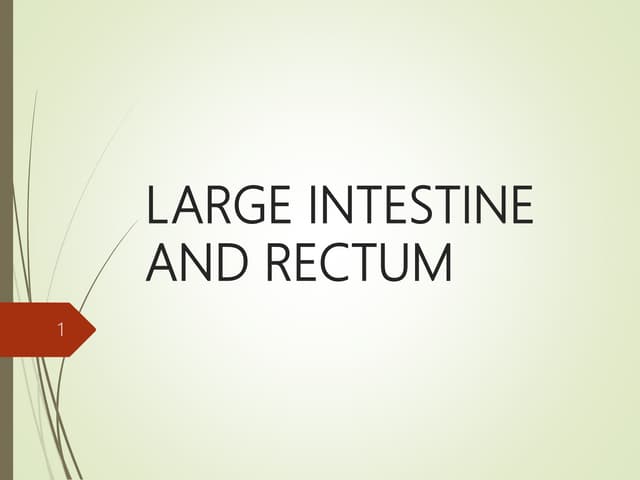 SMALL INTESTINE AND LARGE INTESTINE | PPT