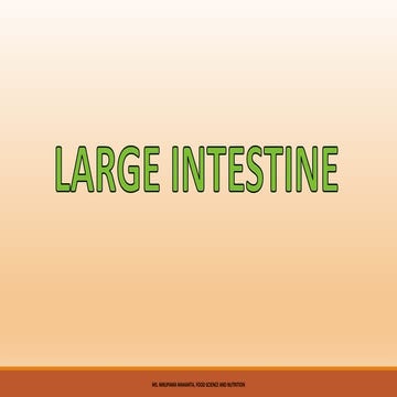 Large intestine | PPTX