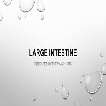 LARGE INTESTINE.pptx