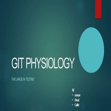 large intestine disorders signs and anatomy | PPTX