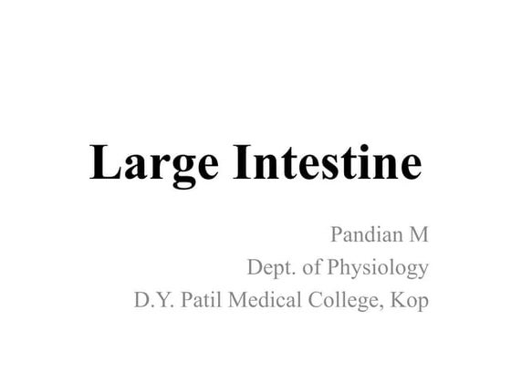 Anatomy & Physiology of large intestine | PPTX