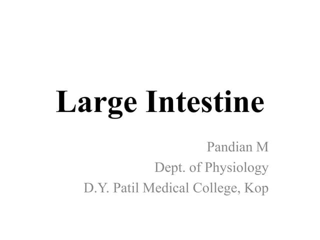 SMALL INTESTINE AND LARGE INTESTINE | PPT