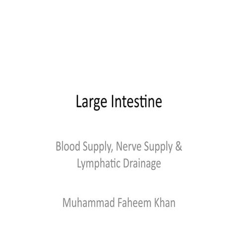 Large_Intestine_Blood_Nerve_Lymphatic_Supply.pptx