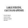Large intestine , Caecum and Appendix.pptx
