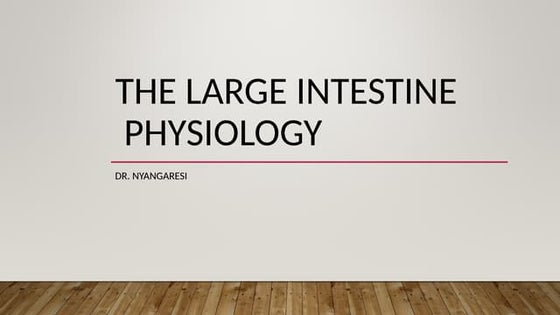 Large intestine 2018.pptx. a detailed | PPTX