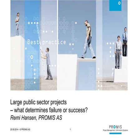 Large public sector projects – what determines failure or success ...