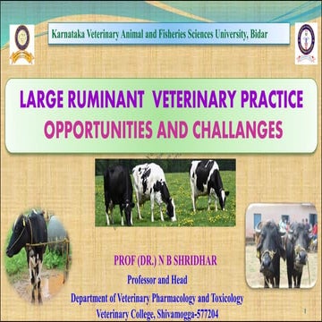 LARGE RUMINANT VETERINARY PRACTICE : OPPORTUNITIES AND CHALLANGES | PDF