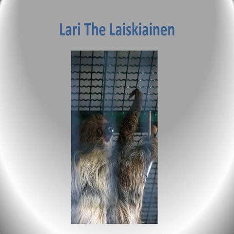 Lari the laiskiainen | PPTX