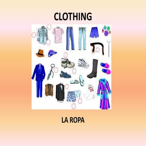 La ropa | PPS