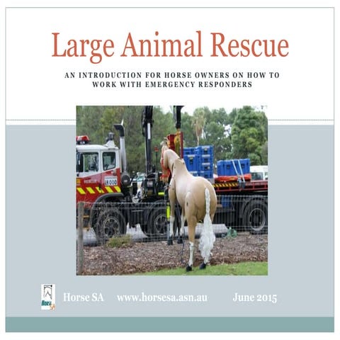 Large Animal Rescue: An introduction for horse owners on working with ...