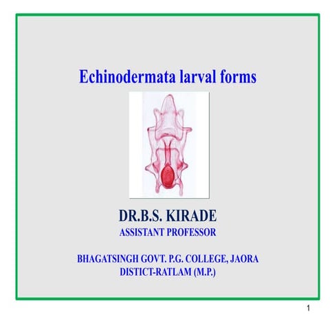 Larval Stage in Different Animal | PDF