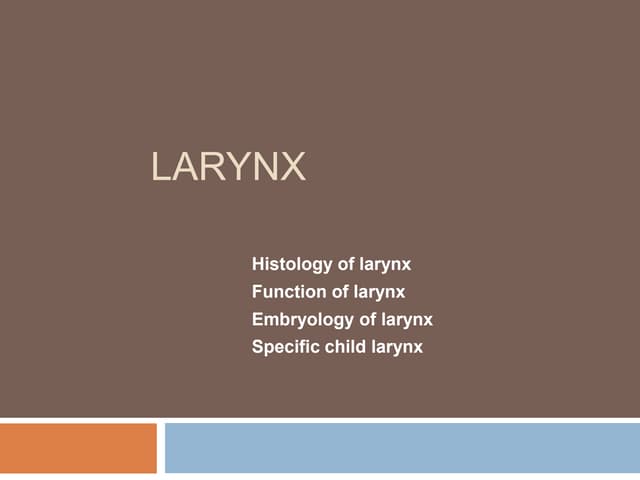 Anatomy of larynx and trachea final | PPT