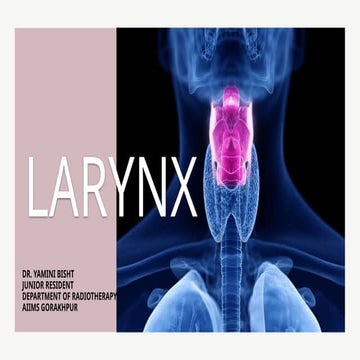 larynx and hypopharynx radiology anatomy | PPTX