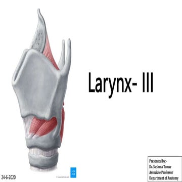 Larynx-III.pdf