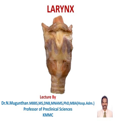 ANATOMY OF LARYNX -Prof.Dr.N.Mugunthan, KMMC.pdf