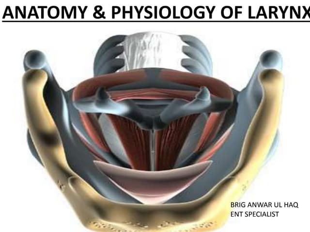 Peritonsillar abscess, parapharyngeal abscess, retropharyngeal abscess ...