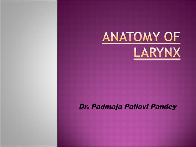 Histology of pharynx & larynx | PPTX