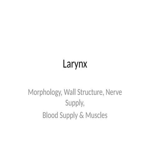 Larynx_Anatomy_ top diagrams Presentation.pptx