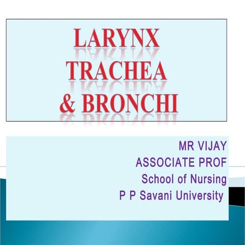 Larynx, trachea & bronchi | PPT