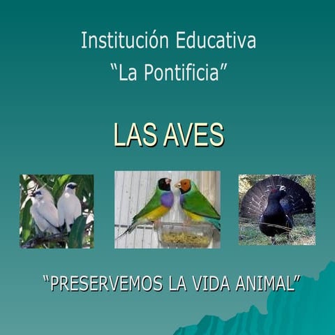 Las Aves | PPT