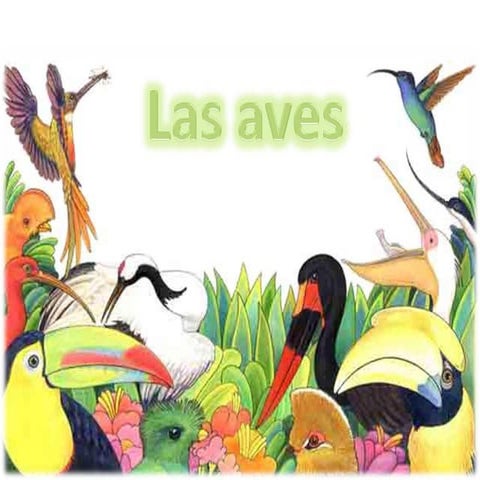 Las aves | PPT