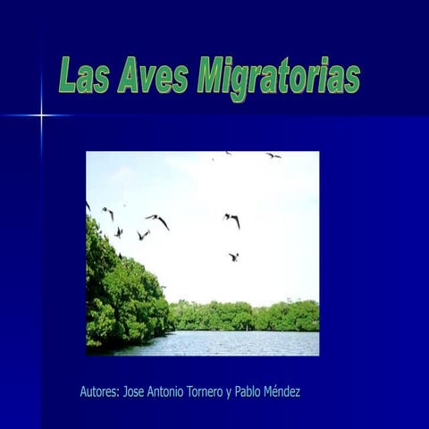 Las Aves Migratorias | PPT
