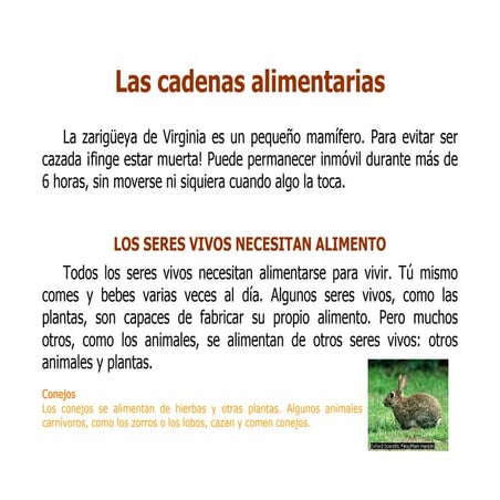 Las Cadenas Alimentarias 1 | PPT