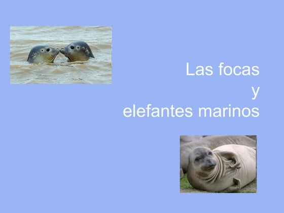 Las focas isabel f | PPT