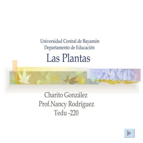 Las plantas | PPT