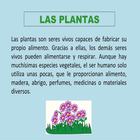 Las Plantas | PPT