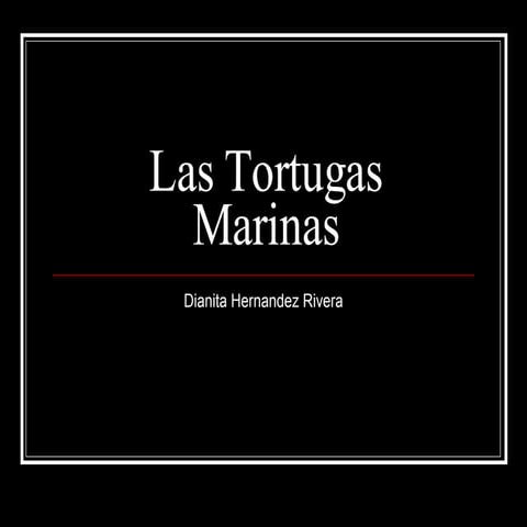 Las Tortugas Marinas | PPT