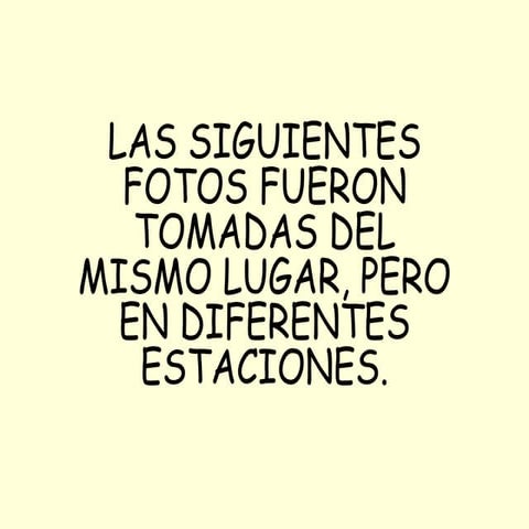 Las 4 estaciones | PPT