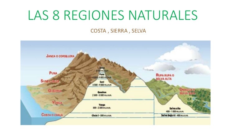 Tipos De Regiones Regiones Naturales