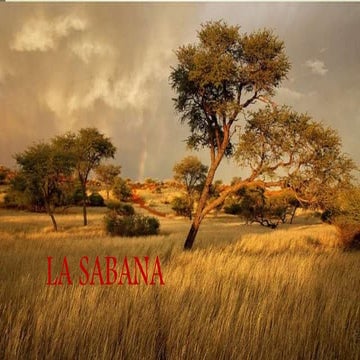 LA SABANA.pptx