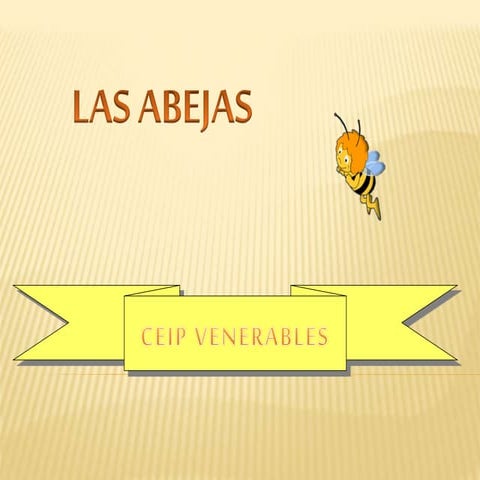 LAS ABEJAS | PPTX
