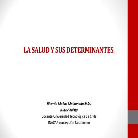 DETERMINANTES DE LA SALUD | PPT