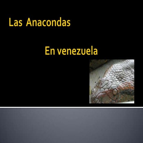 Las anacondas | PPSX