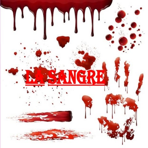 La Sangre | PPTX