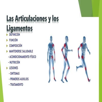 Exposicion_Ligamentos_y_Tendones3.pptx 66 | PPTX