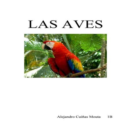 Las aves | DOC