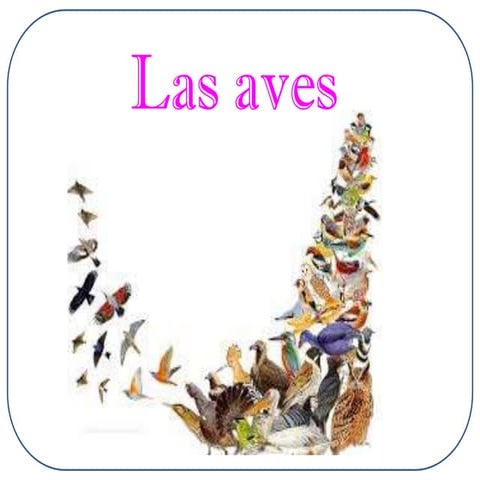 Las aves (PPTX.) 1234567891011121314151617 | PPTX