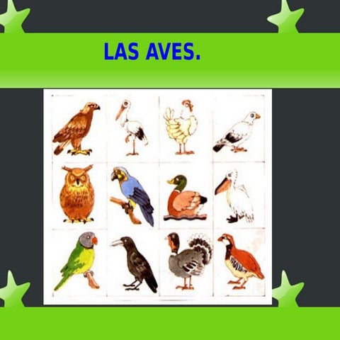 Las aves | PPT