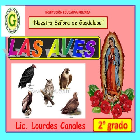 Las aves 2º | PPTX