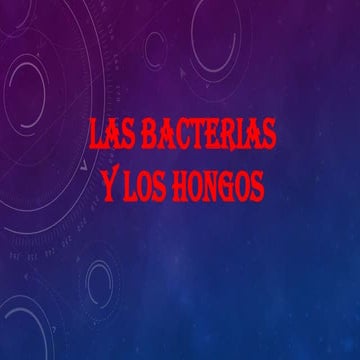 Las bacterias y los hongos | PPTX