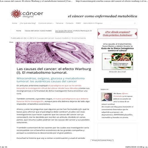 Las causas del cancer. el efecto warburg y el metabolismo tumoral ...