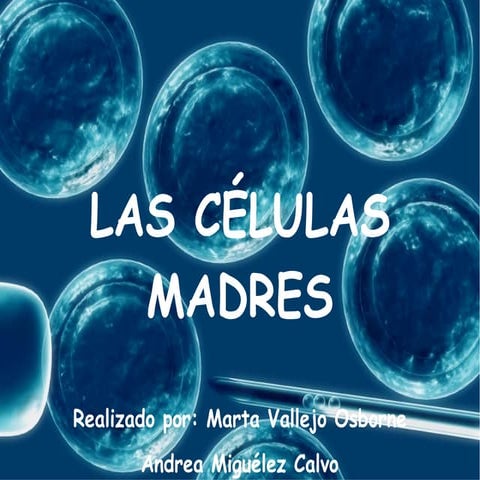 Las células madres | ODP | Infertility | Reproductive Health