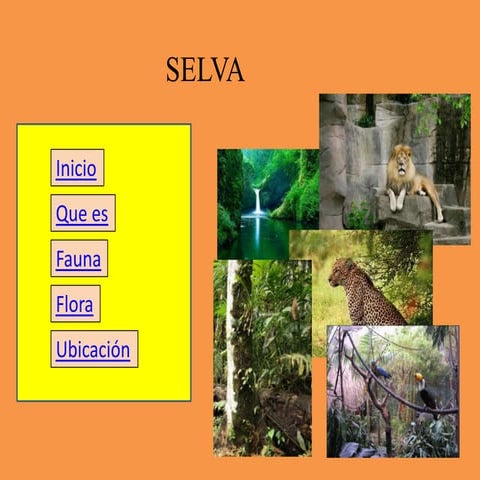 Proyecto La selva amazónica | PPT