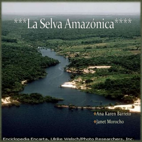 Proyecto La selva amazónica | PPT